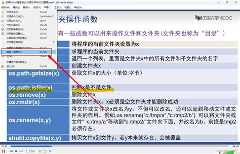 Vlc播放器全指南：下载、安装与功能操作 Csdn博客
