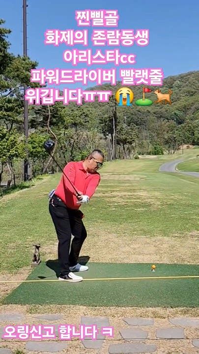 찐삘골♧화제의 존람동생⛳️👍😱골프골프존스크린골프nx골프존cc필드필드골프필드레슨웨지퍼터아이언비거리골프레슨숏게임숏아이언드라이버롱아이언우드유틸