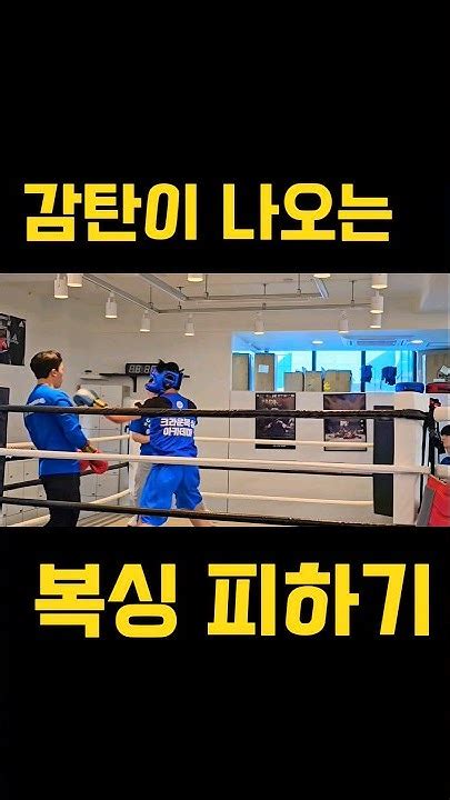 감탄이 나오는 복싱 주먹 피하기 직관 복싱대회 Youtube