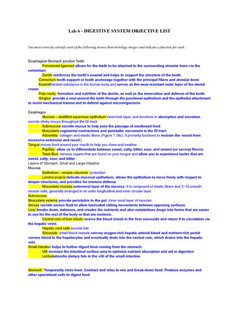 Lab 6 Digestive System Objective List Lab 6 Digestive System Objective List You Must