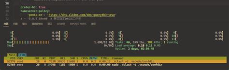 clashmeta内存占用异常附heap Issue MetaCubeX mihomo GitHub