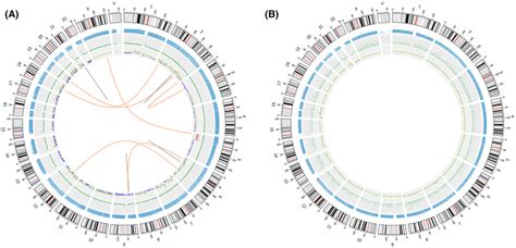 Genomic Variation Circos Display In The Primary Lymphoepithelioma‐like