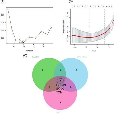 Feature Selection Of Aging Related Degs A Result Of Support Vector
