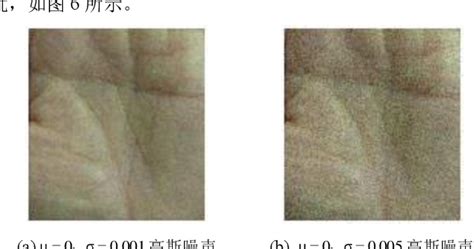 Figure 6 From Color Palmprint Feature Recognition Algorithm Based On Stein Weiss Function