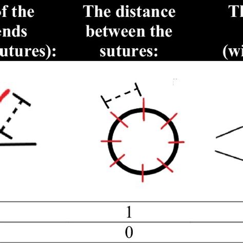 A And B The Models Used For Macro A And Microsurgical B Tasks Download Scientific Diagram
