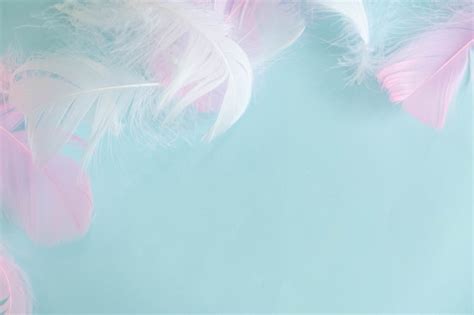 깃털 추상적인 배경입니다 부드러운 Colorfull 깃털 패턴 디자인에 대 한 배경입니다 청록색 일 꿈꾸는 개념에 부드러운 솜 털 깃털 깃털 질감 배경 인테리어 소프트