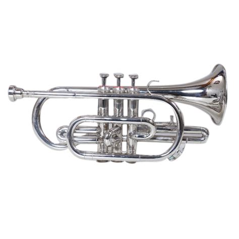 Silver Brass Cornet Inr 8499 Piece By Golden Band Company And Sports