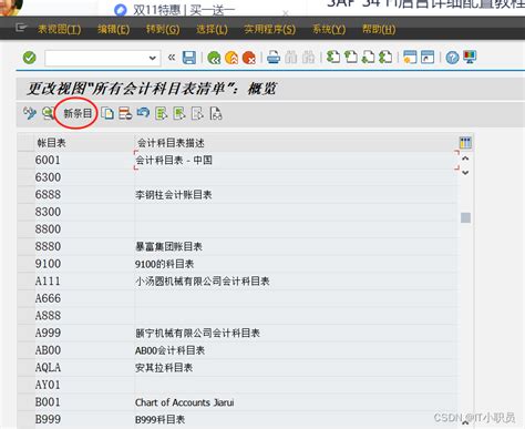 sap s4 fi后台详细配置教程 part4 （科目及税费相关配置篇） sap税率配置 csdn博客