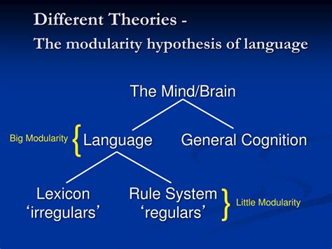 Ppt Cognitive Linguistics Language Andthought Powerpoint Presentation