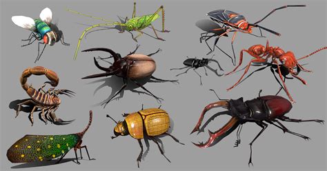 Artstation Insect Collections 3d Model Game Assets