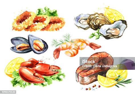 요리 연어 오징어 게 홍합 굴 새우 레몬 녹색으로 설정 하는 해산물 구성 수채화 손으로 그려진된 그림을 흰색 배경에 고립 갑각류에 대한 스톡 벡터 아트 및 기타 이미지