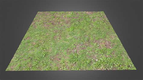 Grass Ground I 3d Model By Projectnature [503ae5b] Sketchfab