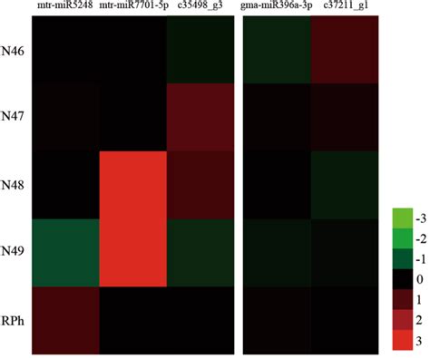 Analysis Of MiRNAs And Their Target Genes In Five Melilotus Albus NILs