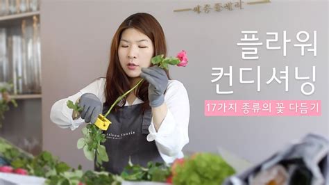 쎄종플레리 플라워 컨디셔닝 꽃 다듬기 꽃 손질하는법 Youtube