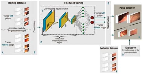 Artificial Intelligence Techniques For The Automatic Detection Of Colorectal Polyps