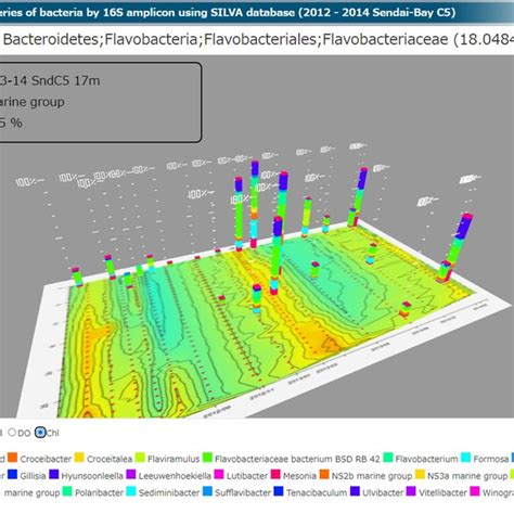 Three Dimensional 3d Display Of Microbial Communities 3d Display Of