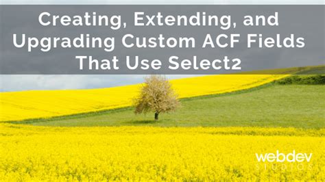 Creating Extending And Upgrading Custom ACF Fields That Use Select WebDevStudios