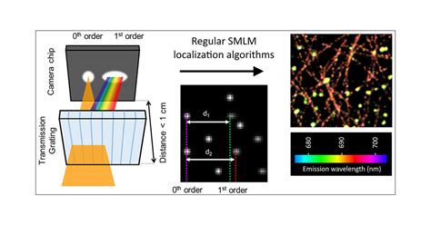 Enabling Spectrally Resolved Single Molecule Localization Microscopy At