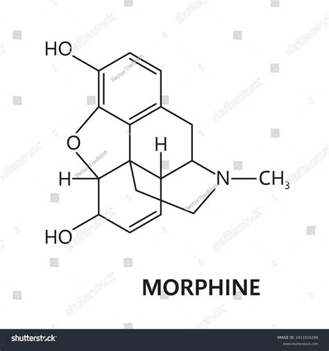 Morphine Drug Molecule Formula Chemical Structure Stock Vector Royalty Free 2411016289