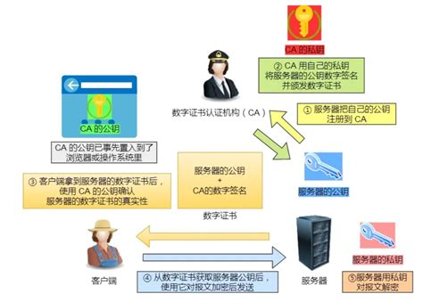 计算机网络学习总结(基于小林coding版)小林coding计算机网络 Csdn博客 计算机网络学习总结(基于小林coding版)小林coding计算机网络 Csdn博客