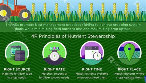 Instructions On Npk Fertilizer A Professional Guide Risso Fertilizer