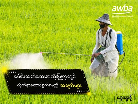 Myanma Awba ကျေးဇူးရှင်တောင်သူဦးကြီးများခင်ဗျာ Facebook