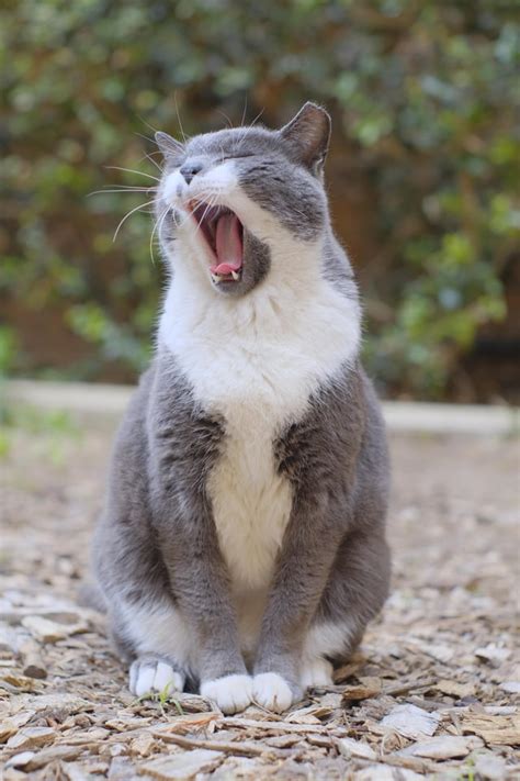 easy a summer classes r utarlington