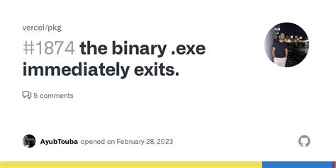 The Binary Exe Immediately Exits · Issue 1874 · Vercelpkg · Github
