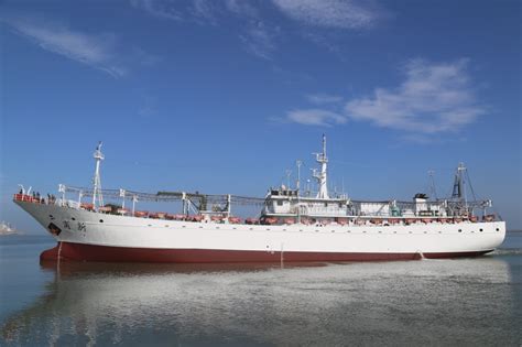 Fu Xin Vessels Bait To Plate The Outlaw Ocean Project