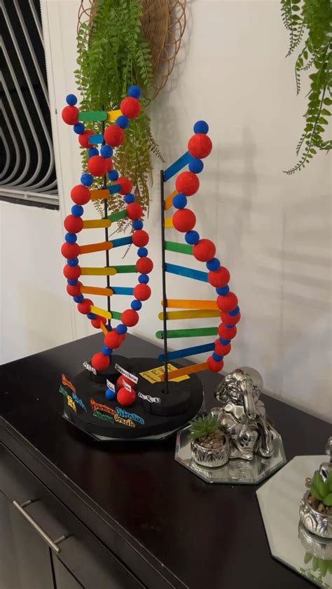 arn y adn en 2025 modelo de adn como hacer maquetas maquetas de adn