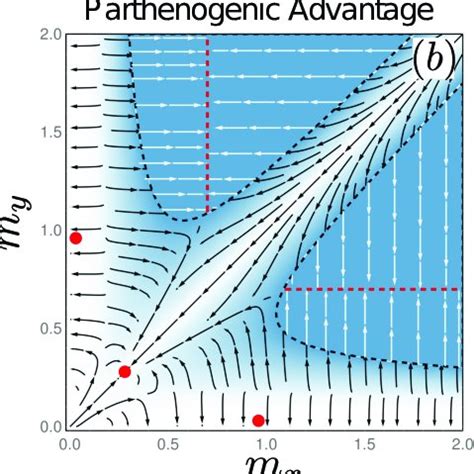 Evolutionary Dynamics Under Mixed Sexual And Parthenogenic Download Scientific Diagram