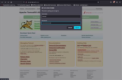 Backtrack Tryhackme