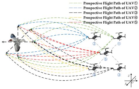 Target Trajectory Prediction Based Uav Swarm Cooperative For Bird Driving Strategy At Airport