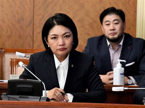 Байгаль орчин хүнс хөдөө аж ахуйн байнгын хорооны даргаар УИХ ын гишүүн Б Саранчимэгийг