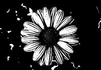 Binary Image GeeksforGeeks