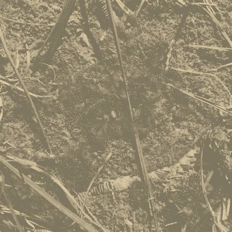 Nicholas Maloney And Tony Panella Substantialis Reviews Album Of The Year