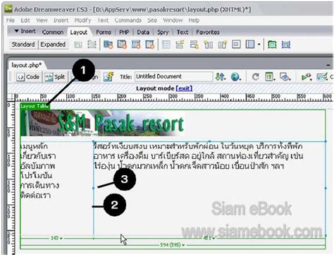 การจัดการกับ Layout Table และ Layout Cell ใน Dreamweaver Cs3