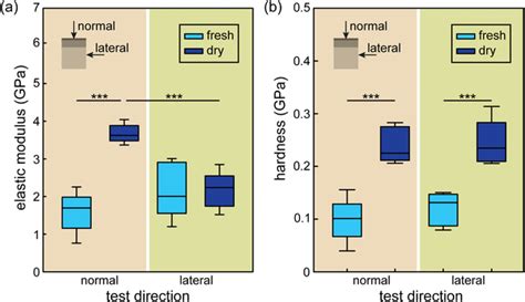 A Elastic Moduli And B Hardness Of The Corneal Cuticle In Different Download Scientific