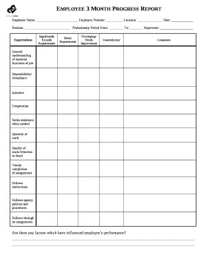 Employee 3 Month Progress Report Doc Template PdfFiller