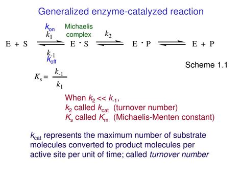 Ppt The Organic Chemistry Of Enzyme Catalyzed Reactions Revised