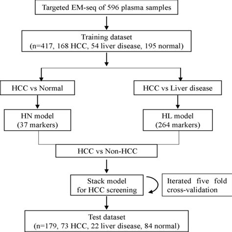 Workflow Chart Of Building A Stack Hcc Screening Model Download Scientific Diagram