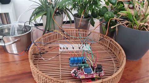 Plant Watering System With Msp432 Launchpad Youtube