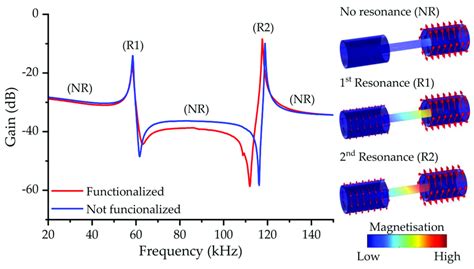 Frequency Spectra Of The Transducer With And Without The Sensitive