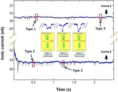 Simultaneous Ionic Current Measurements Of Dna Translocation Based On