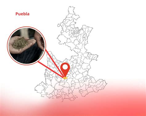 Narcomapa De México ¿en Qué Estados Se Ubican Los Cárteles De Droga