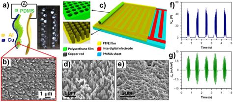 A Device Schematic Of The Pdms Based Teng B Sem Image Of The Pdms