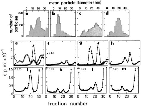 Correlation Between Particle Distribution Observed In The Immediate Download Scientific Diagram