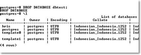 Cara Menghapus Database Di PostgreSQL Nursalim Twice S Blog