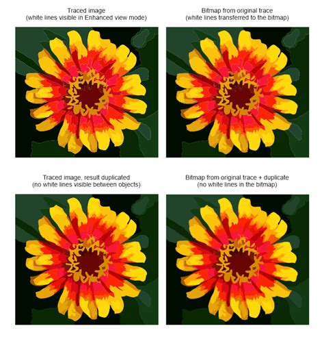 Coreldraw Graphics Suite X5 Power Trace Coreldraw Graphics Suite X5