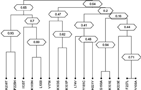Dendrogram Obtained From Average Linkage Hierarchical Agglomerative